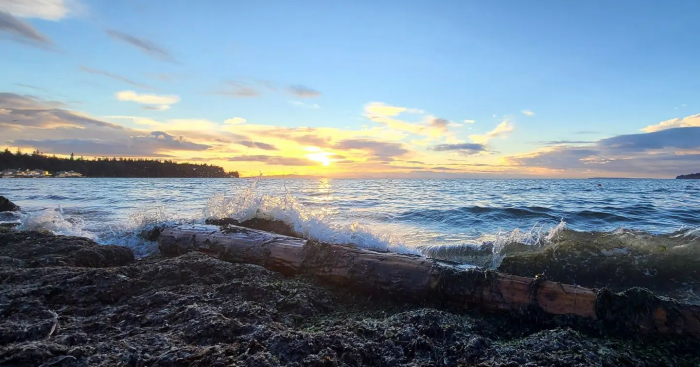 Closing the Skills Gap - Careers in Government