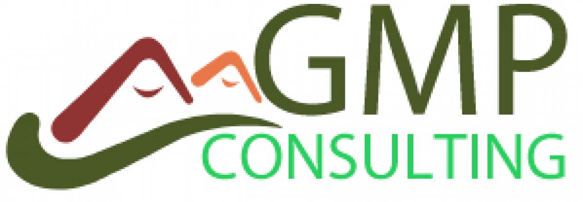 GMP Consulting - Community - Careers in Government